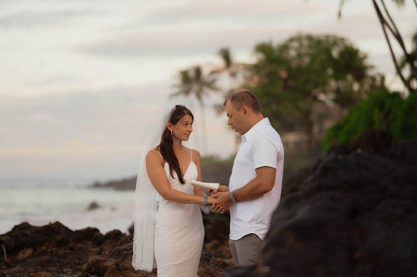 Danielle & Ray’s Beach & Cliffside Maui Elopement ...
