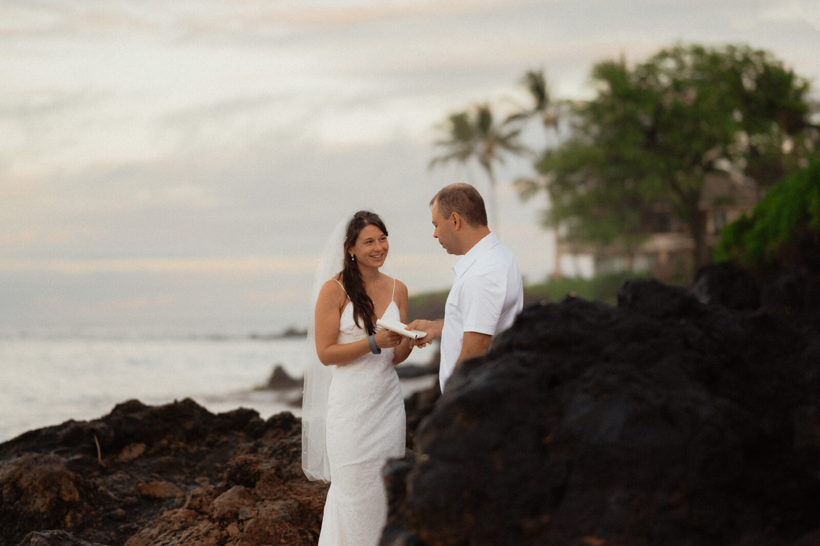 Danielle & Ray’s Beach & Cliffside Maui Elopement ...