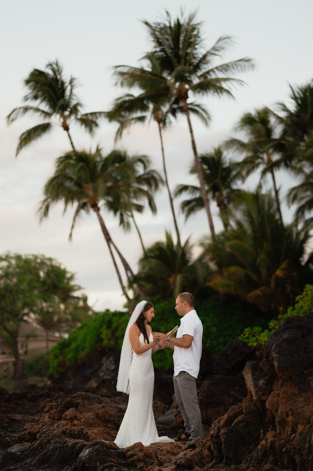 Danielle & Ray’s Beach & Cliffside Maui Elopement ...