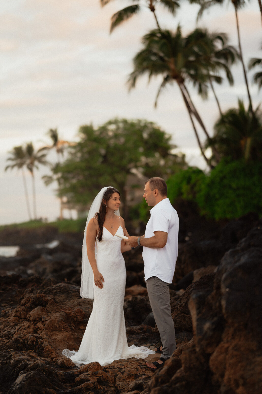 Danielle & Ray’s Beach & Cliffside Maui Elopement ...